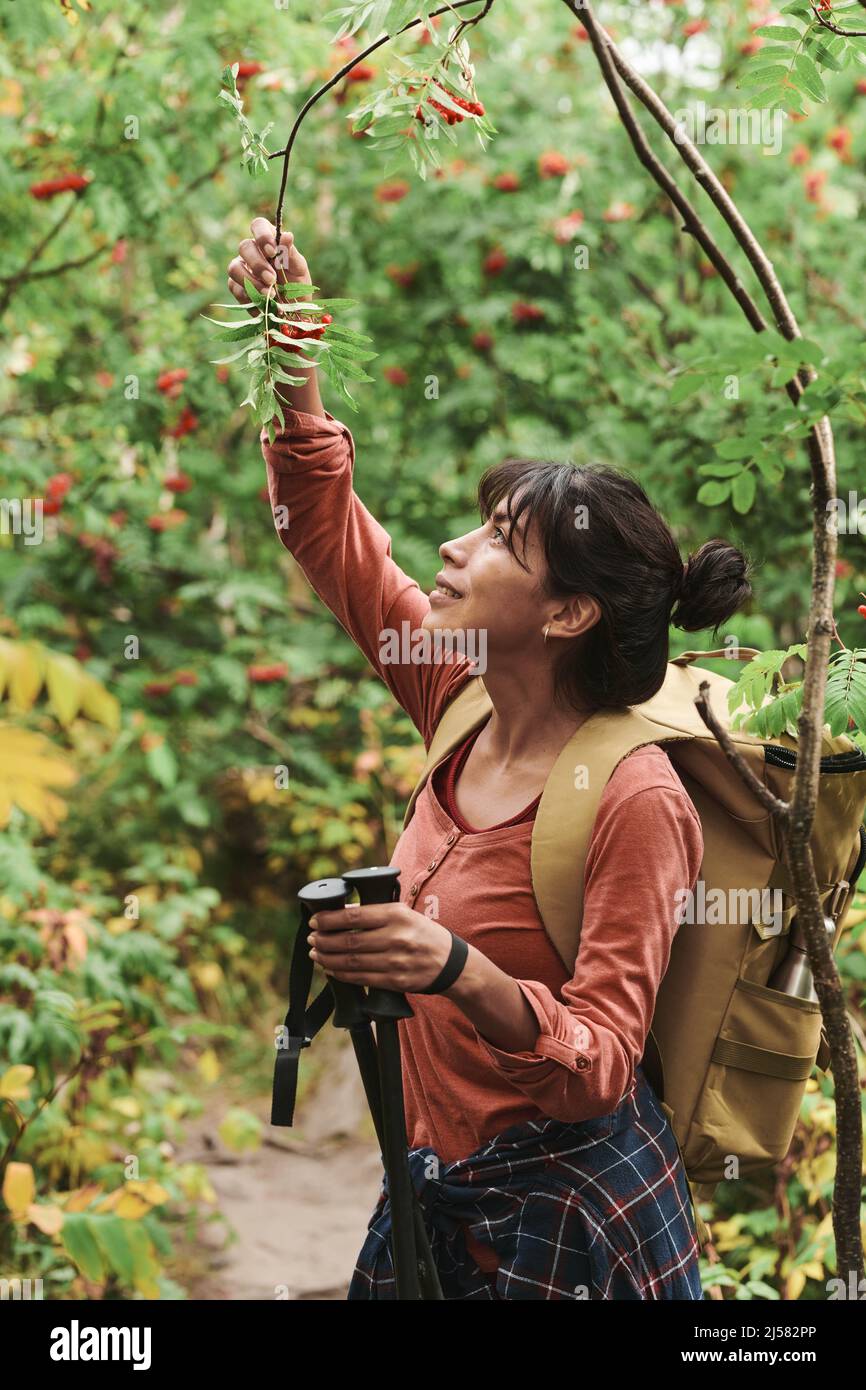Smiling young female hiker with hairbun wearing backpack holding ...