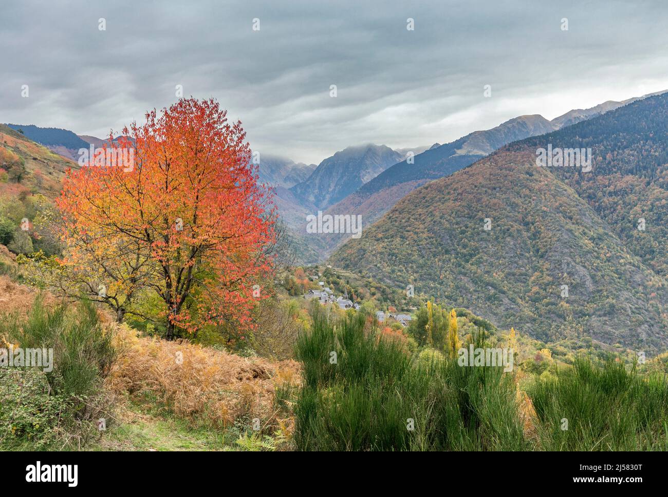 Toran valley aran valley lleida hi-res stock photography and images - Alamy