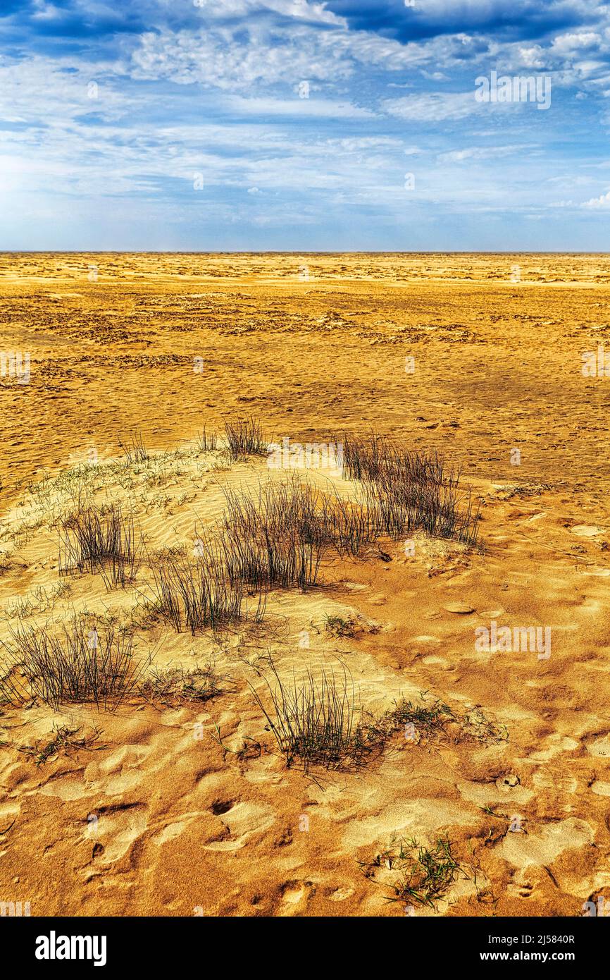 Remote wide sandy beach, dry grasses, Red Sand Beach, Rauoisandur ...