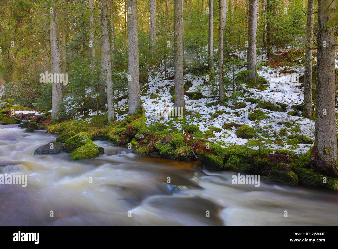 Stream in winter, Black Forest brook at Krailoch Gumpen ...