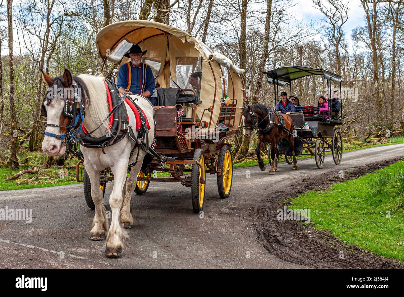 Jaunting carts ireland hi-res stock photography and images - Alamy