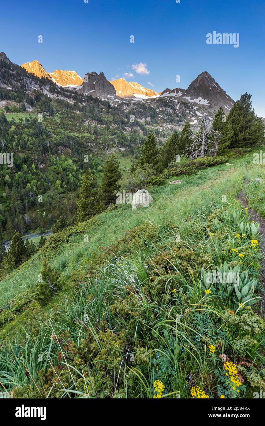 Valley of estos hi-res stock photography and images - Alamy