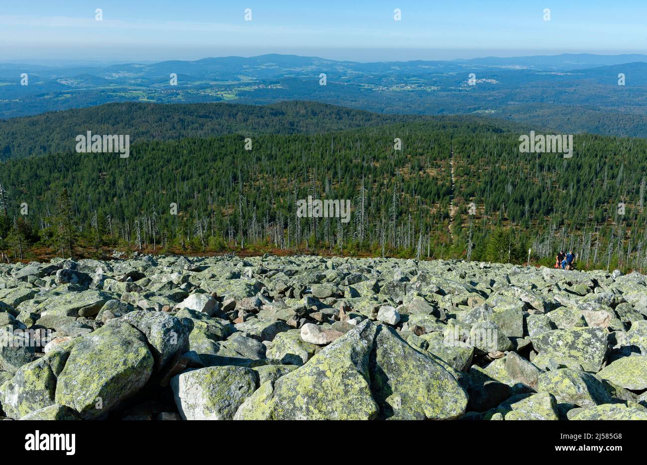 Park und wald hi-res stock photography and images - Alamy