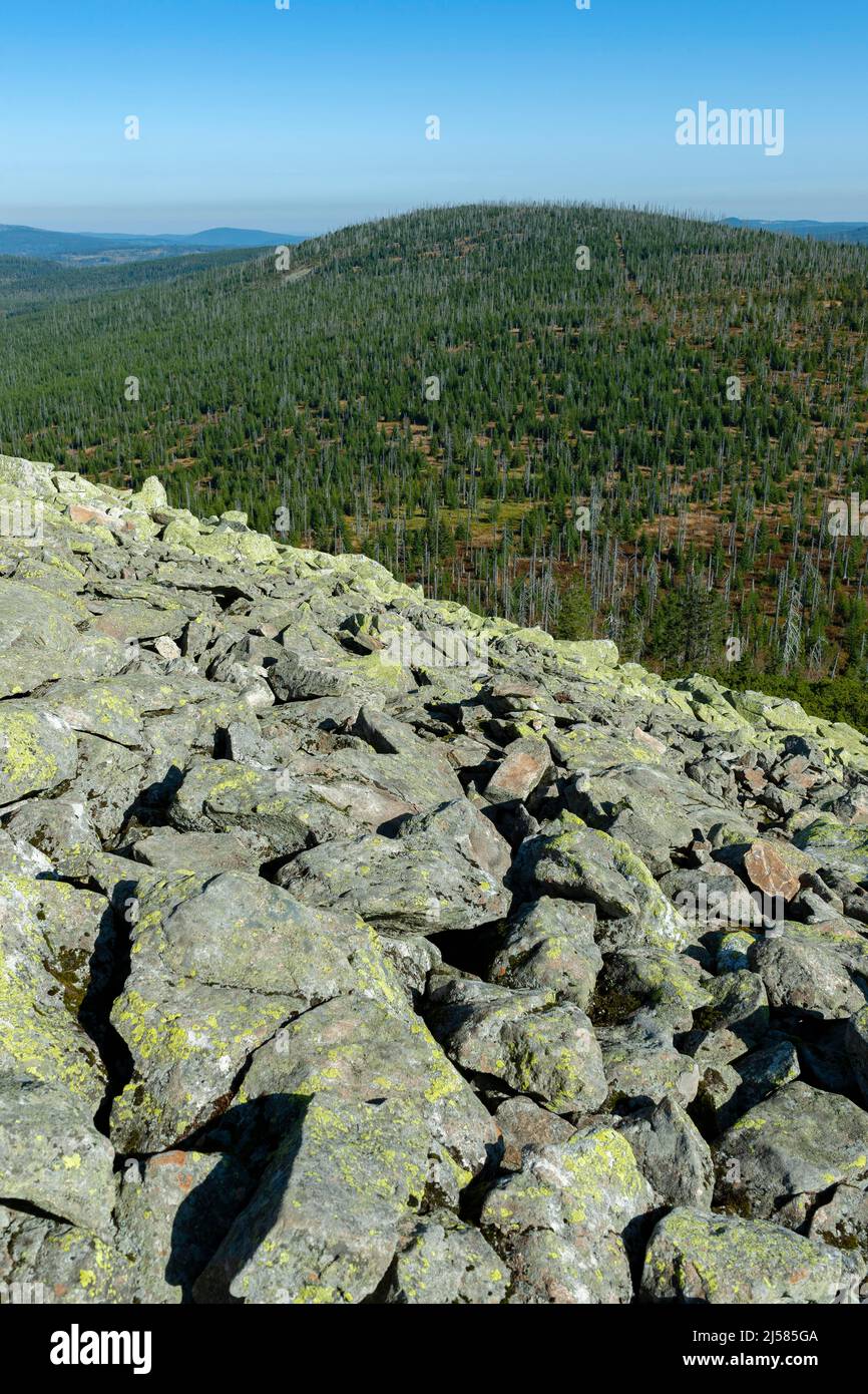 Ausblick vom Lusen auf das Blockmeer und den Wald, Nationalpark ...