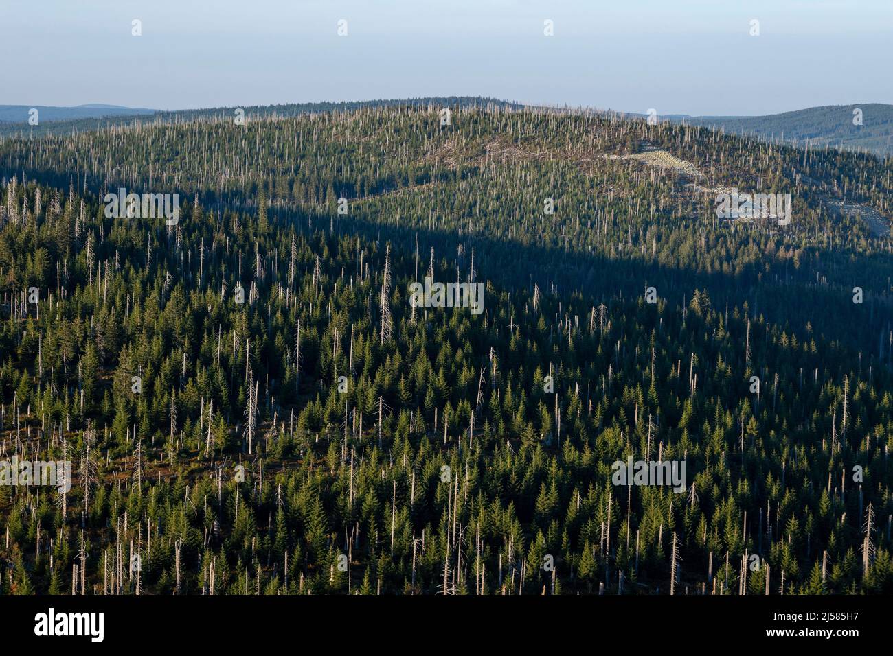 Ausblick vom Lusen auf Wald und Berge, Nationalpark Bayerischer Wald ...