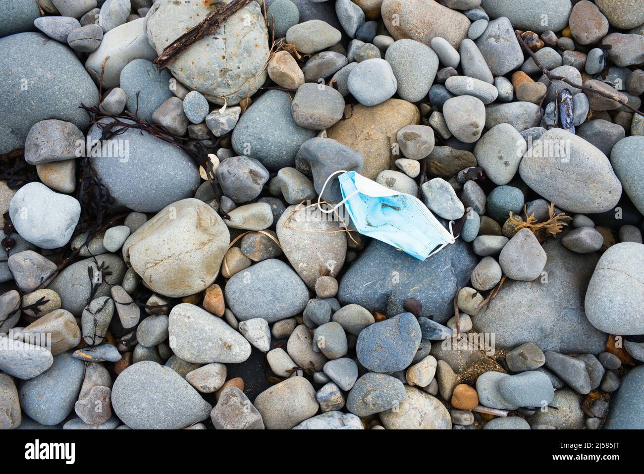 Litter on beach hi-res stock photography and images - Alamy
