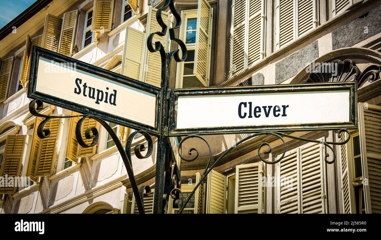 Street Sign the Direction Way to Clever versus Stupid Stock Photo - Alamy