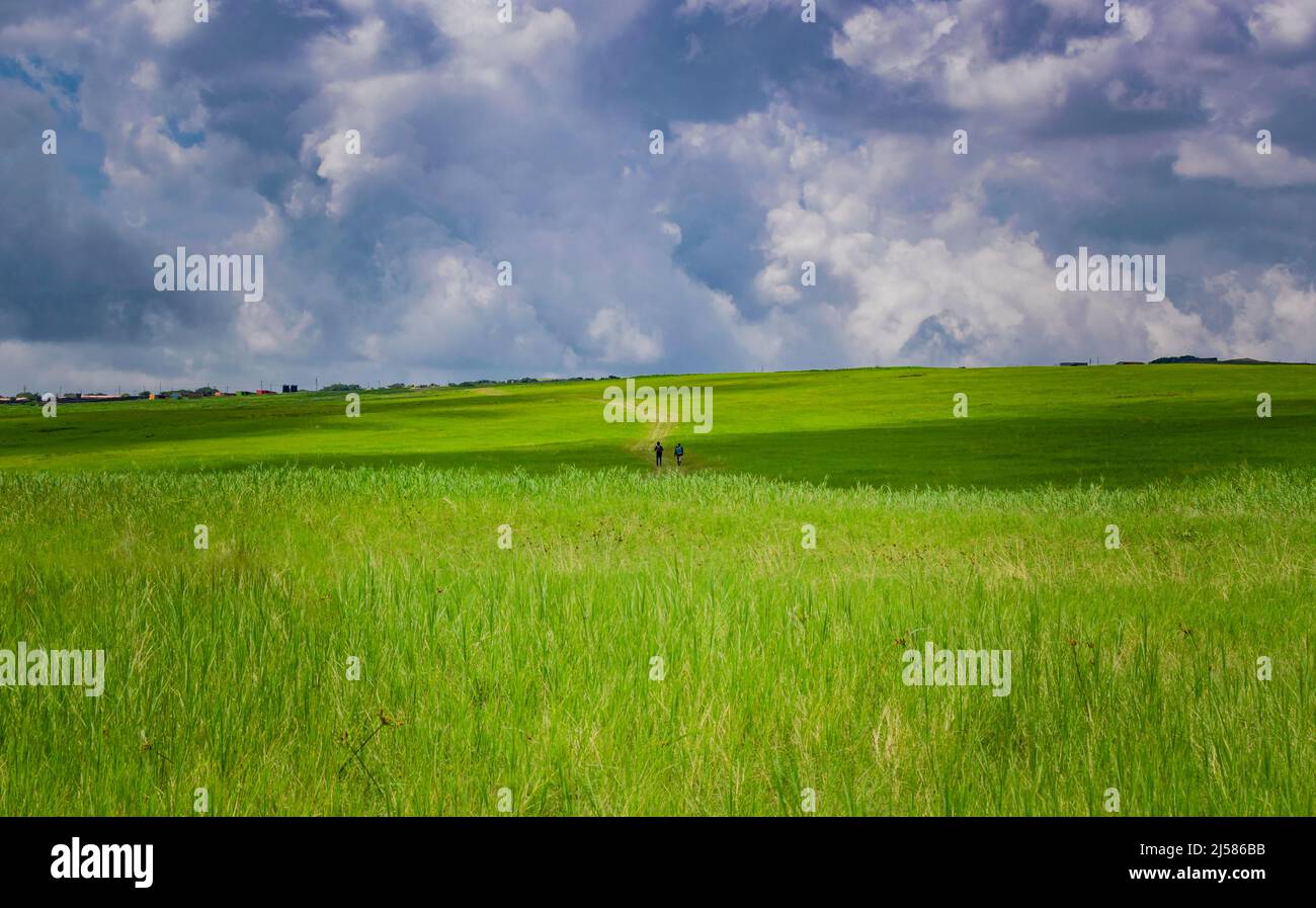 Two men walking in the distance of a field, two people walking in the ...