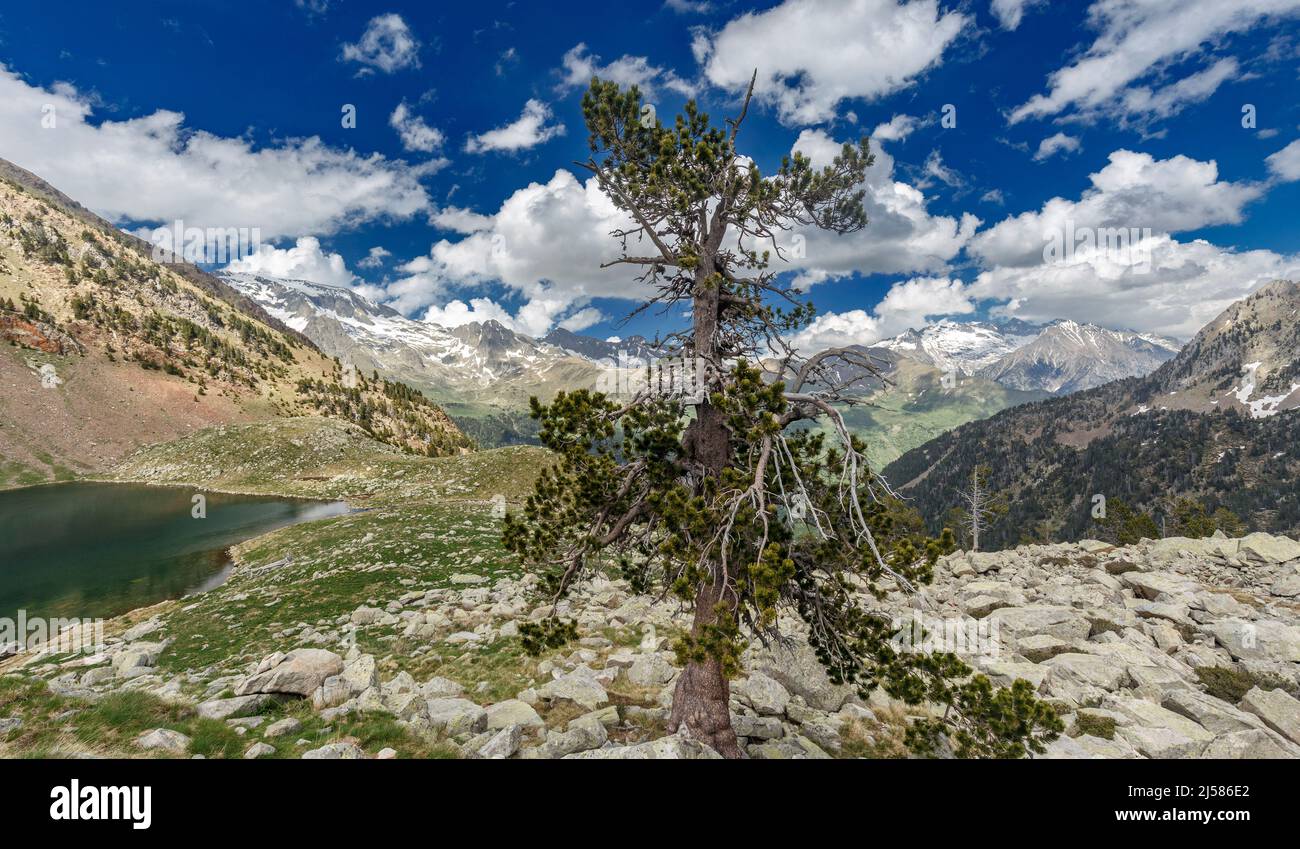 Valley of estos hi-res stock photography and images - Alamy