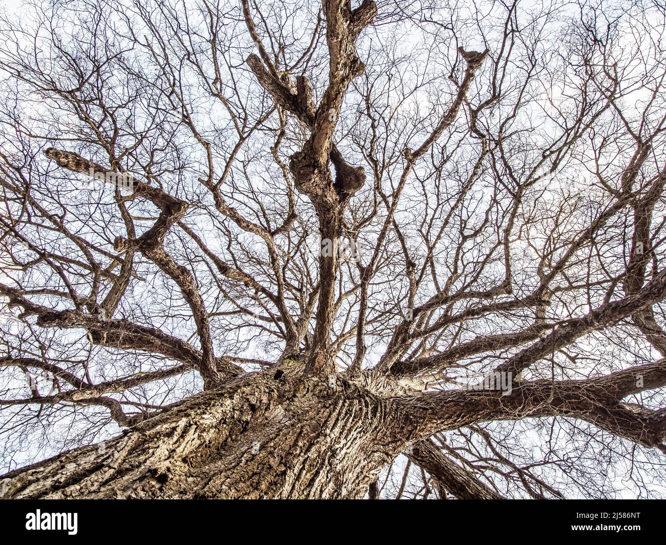 Dionysen hi-res stock photography and images - Alamy