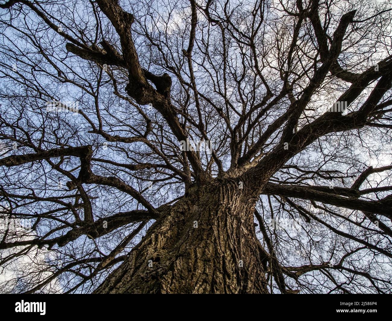 Dionysen hi-res stock photography and images - Alamy
