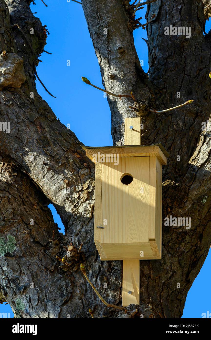 Bird nesting box, starling box, Lindau, Swabia, Bavaria, Germany Stock ...