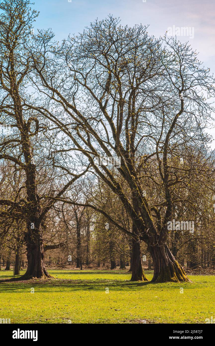 Good arbor hi-res stock photography and images - Alamy