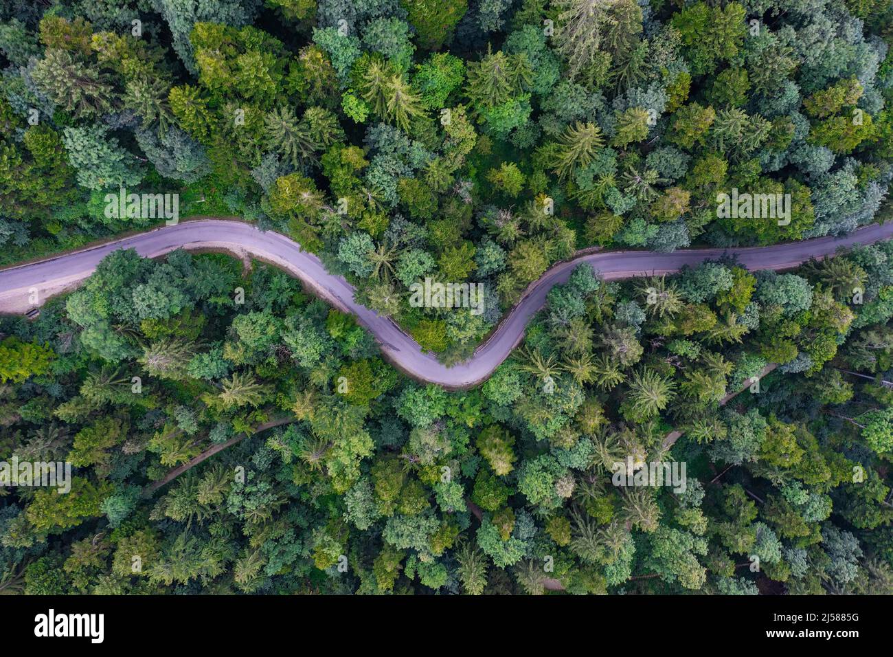 Forest vehicles hi-res stock photography and images - Alamy