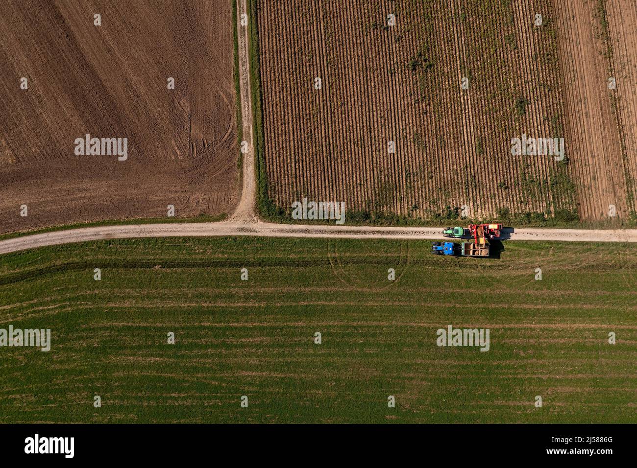 Potato harvest from above, farming in autumn with 2 tractors Stock ...