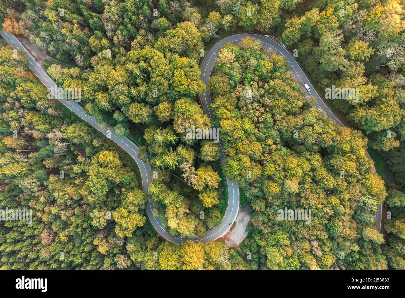 Aerial of a double curve through a forest with a view below Stock Photo ...