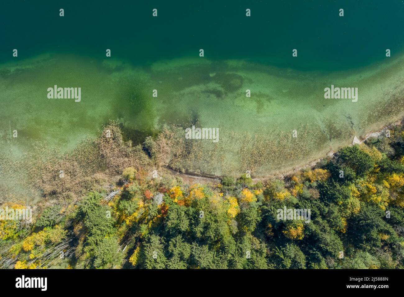 Lake Tegernsee shore from above with turquoise water and trees, Bavaria ...