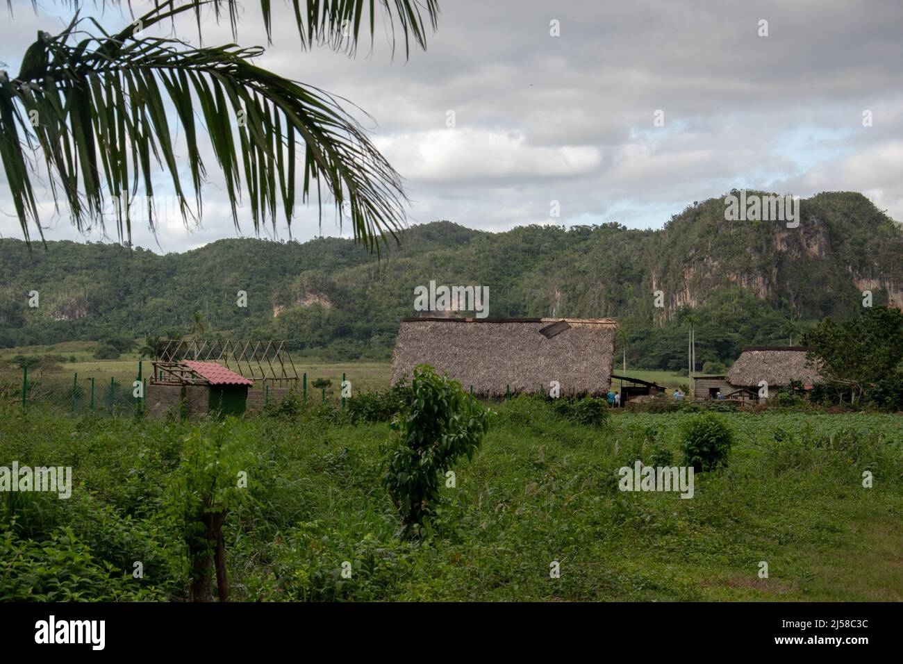 Palenque de los Cimarrones, Vinales, Pinar del Rio, Cuba Stock Photo ...