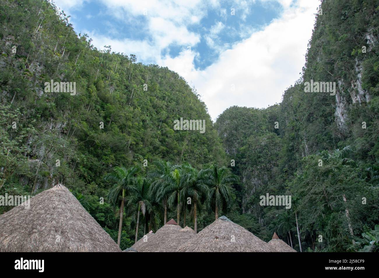 The thatched roofs of Cuevas de los Cimarrons Restaurant in Palenque de ...