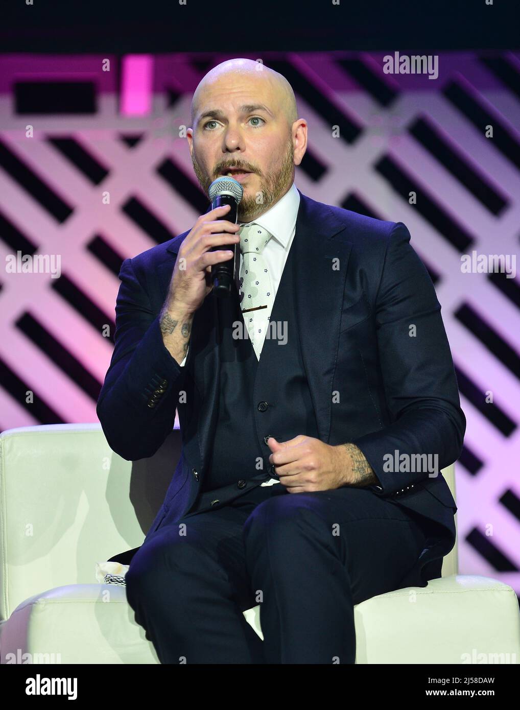 Pitbull personality hi-res stock photography and images - Alamy