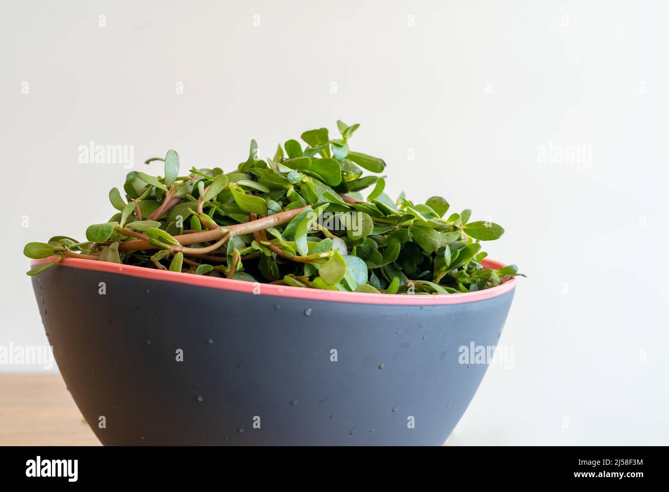 Close up photo of green fresh raw purslane in the bowl Stock Photo - Alamy