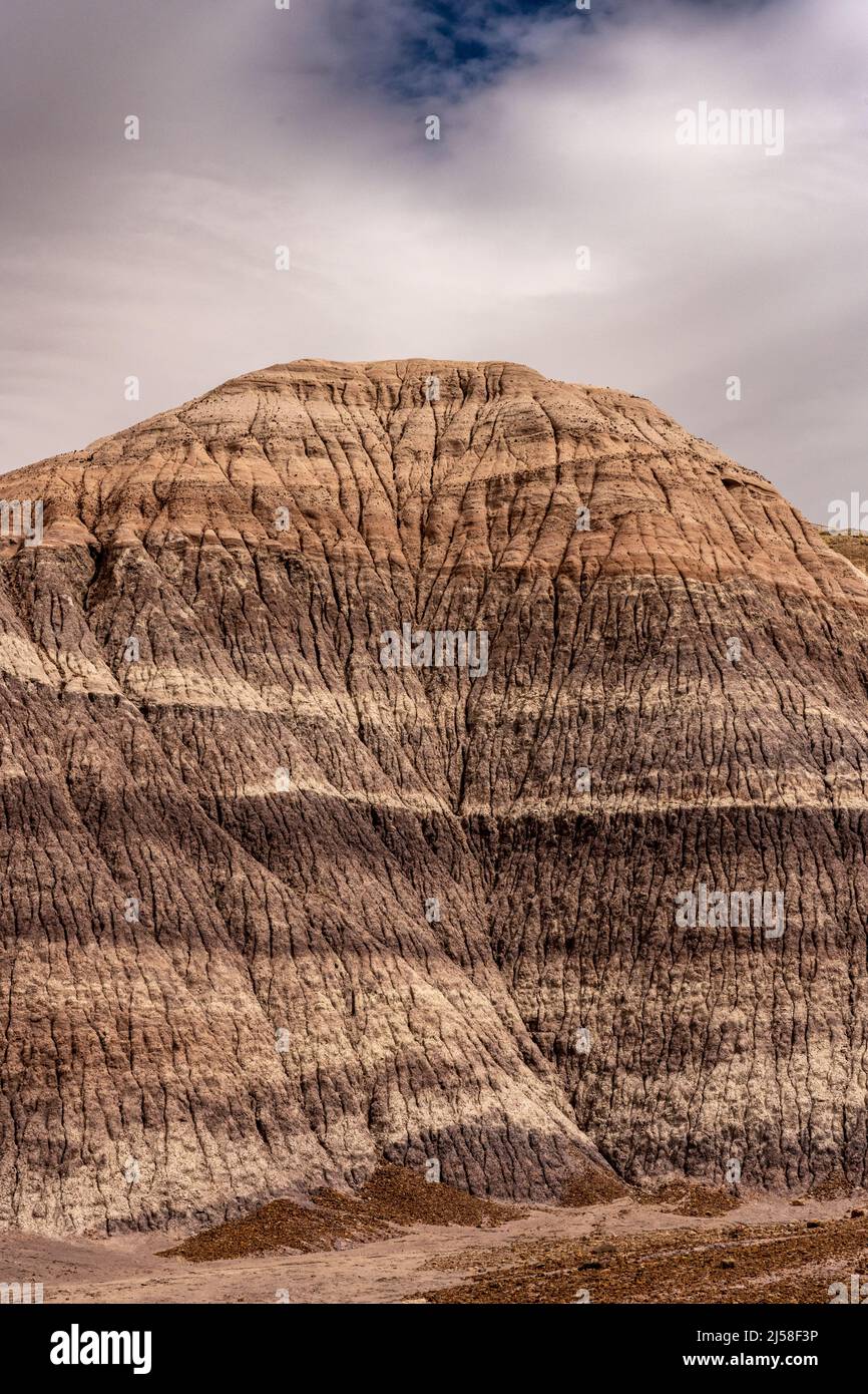 Layers of Grays and Browns On A Tall Badlands Formation in Petrified ...