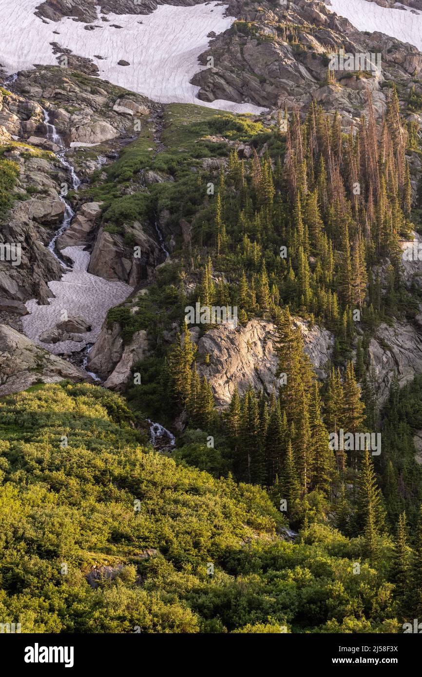 Long Cascade Tumbles Down Below Tree Line In Rocky Mountain National ...