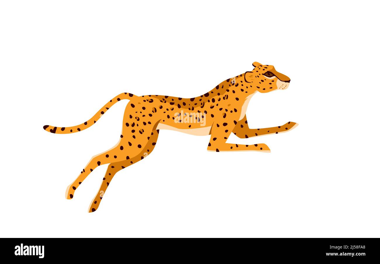 Leopard running on African savannah, wild fast animal hunting for prey ...