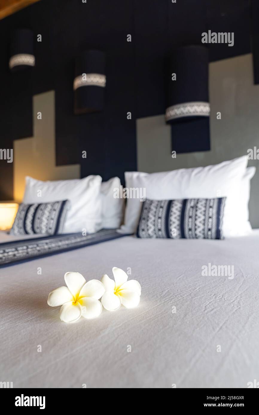 Lan thom flower hi-res stock photography and images - Alamy