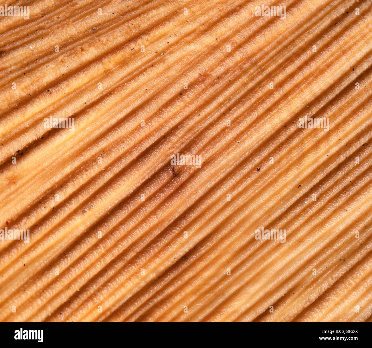 Cross grooves hi-res stock photography and images - Alamy