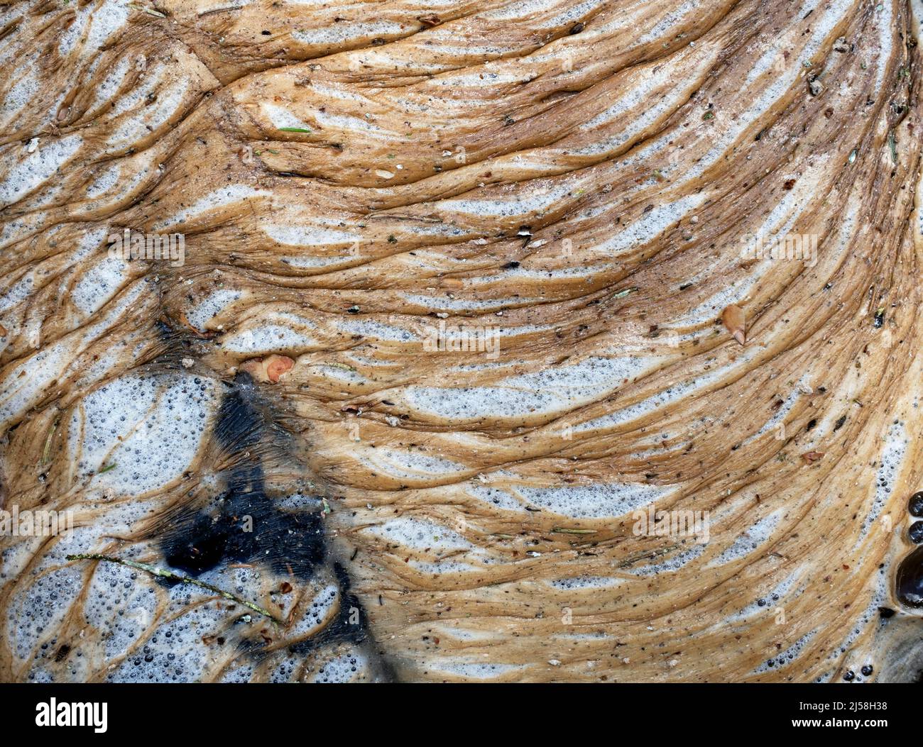 Natural foams result when insoluble substances enter the stream, and is ...