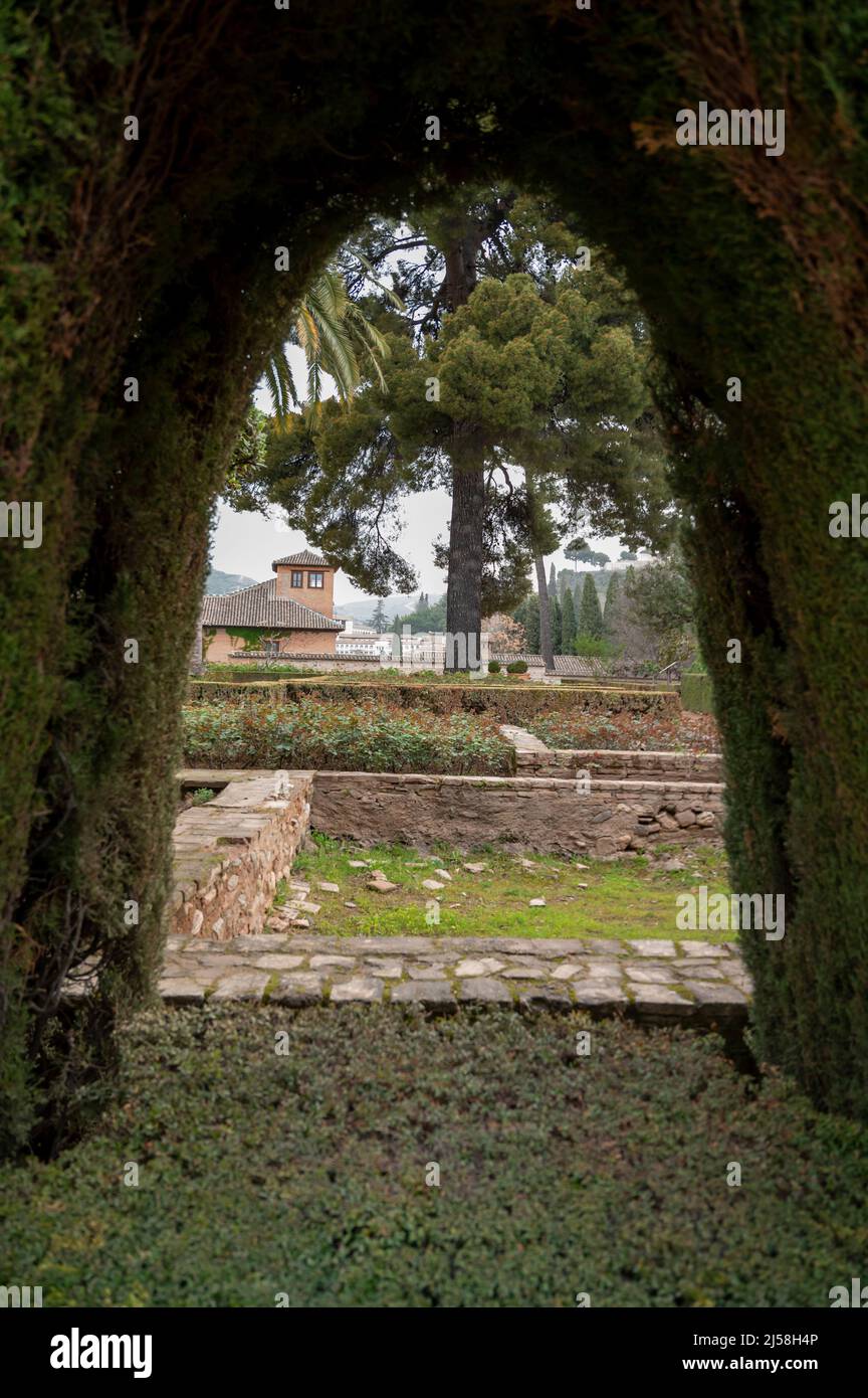 Cypress trees backyard hi-res stock photography and images - Alamy