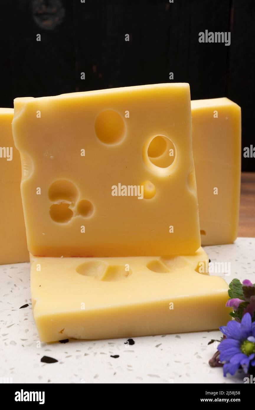 Swiss cheese collection, yellow emmentaler or emmental cheese with ...