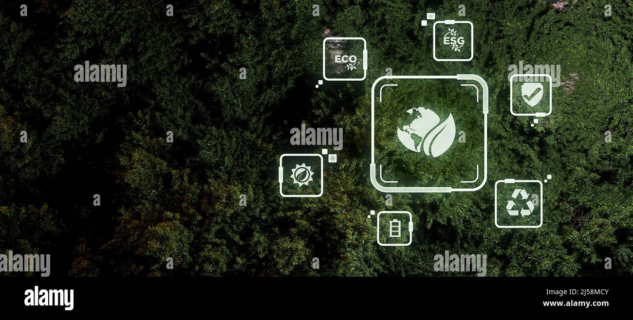 background of forest landscape scene for using in concept of ...