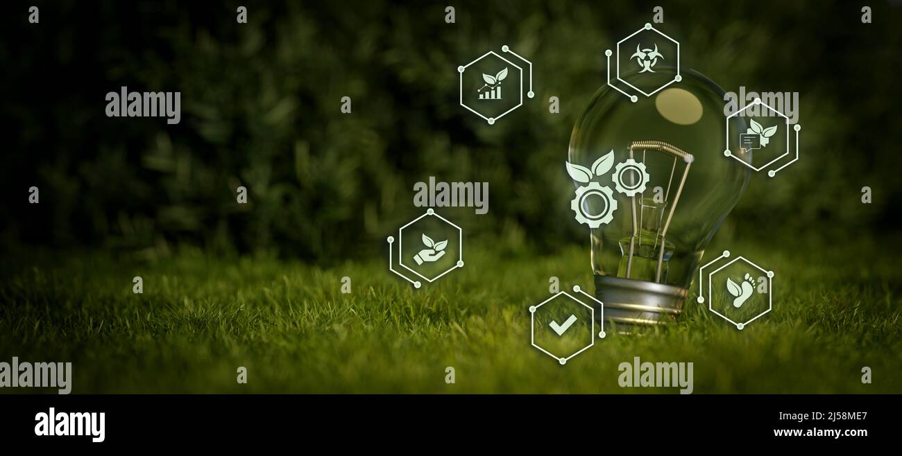 Green forest with grass with lightbulb. Symbols of sustainable and eco ...