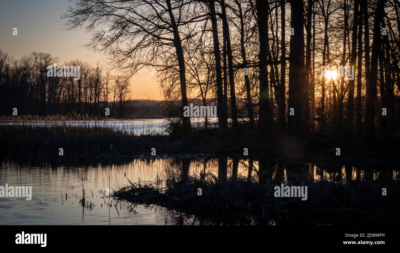 Cardinal river hi-res stock photography and images - Alamy