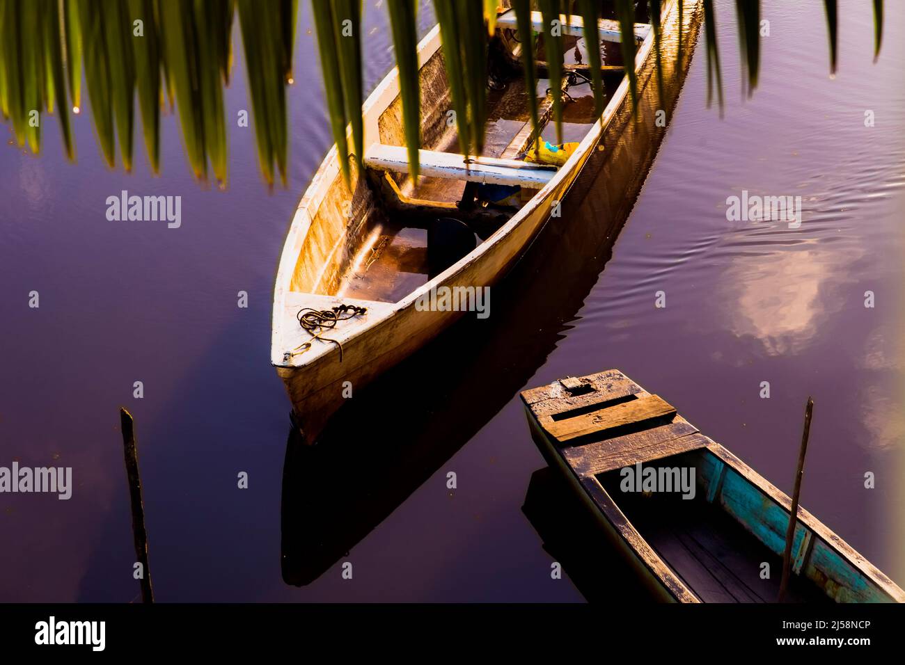 Boat stopped on the river among the trees. Nilo Pecanha, Bahia, Brazil ...