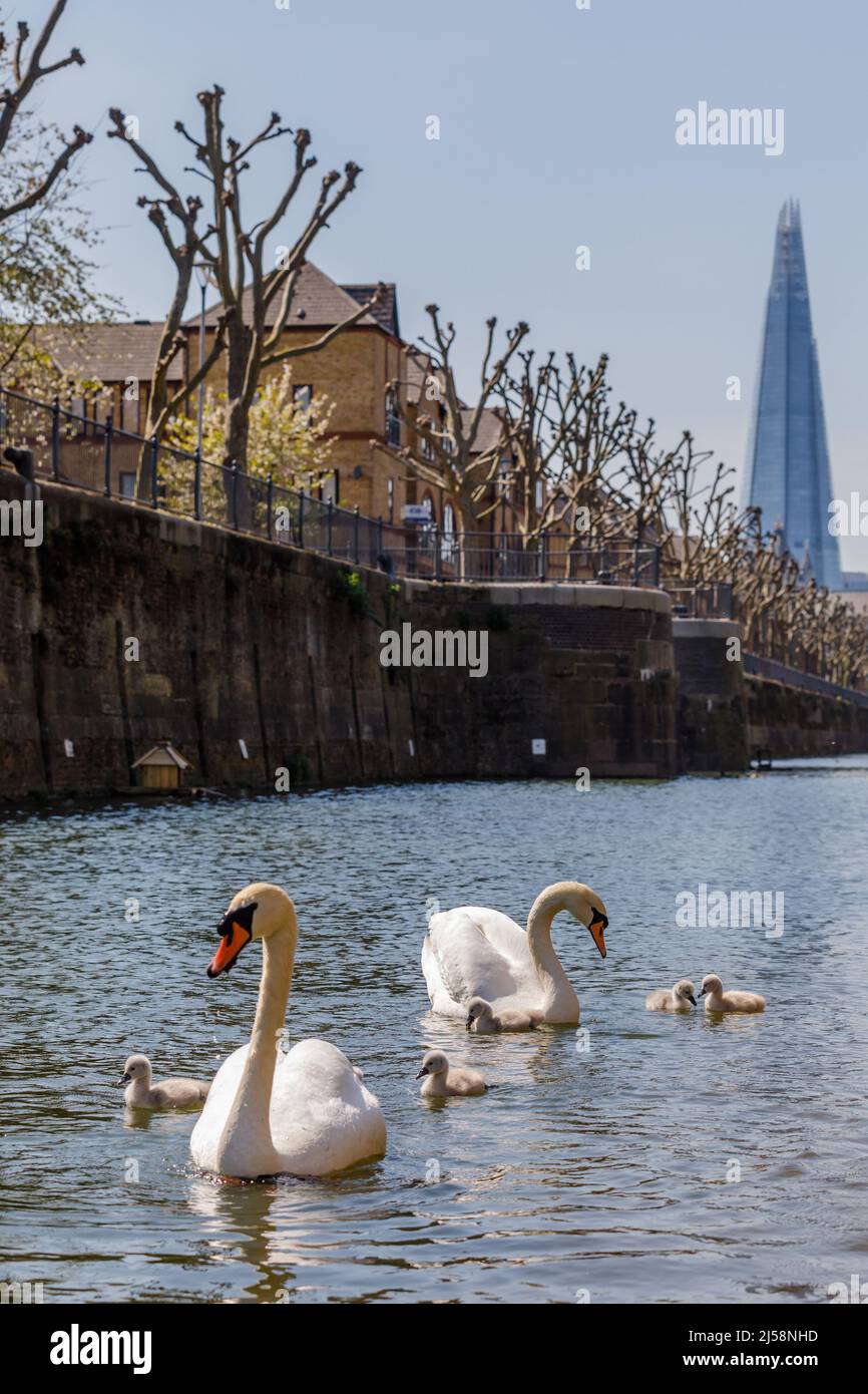 The baby shard hi-res stock photography and images - Alamy