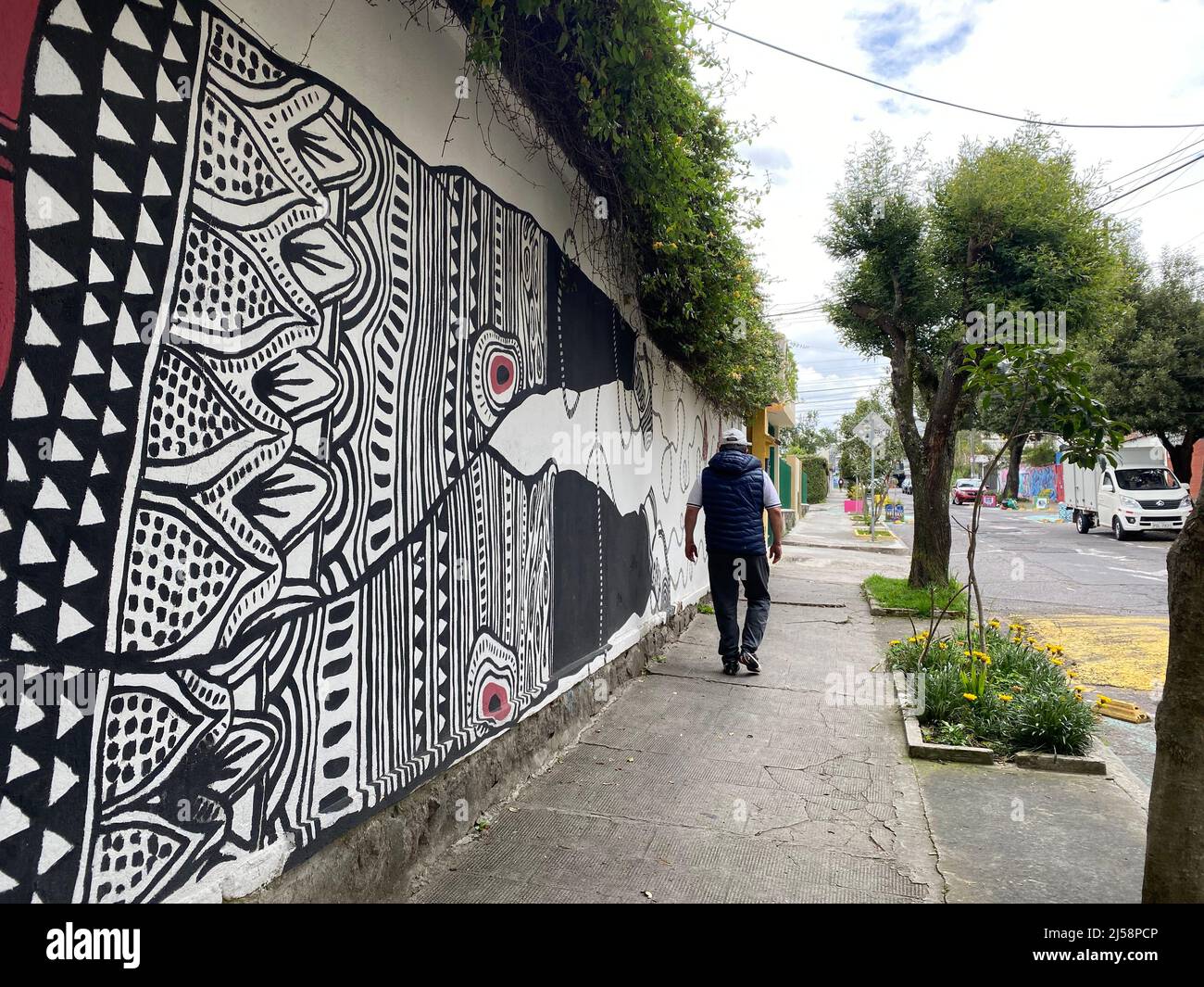 La floresta quito hi-res stock photography and images - Alamy