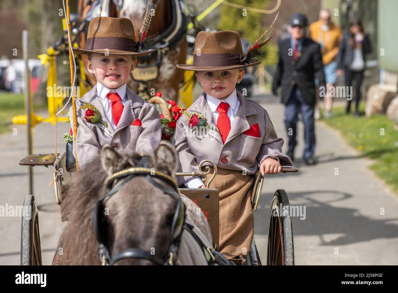 London cart horse parade hi-res stock photography and images - Alamy