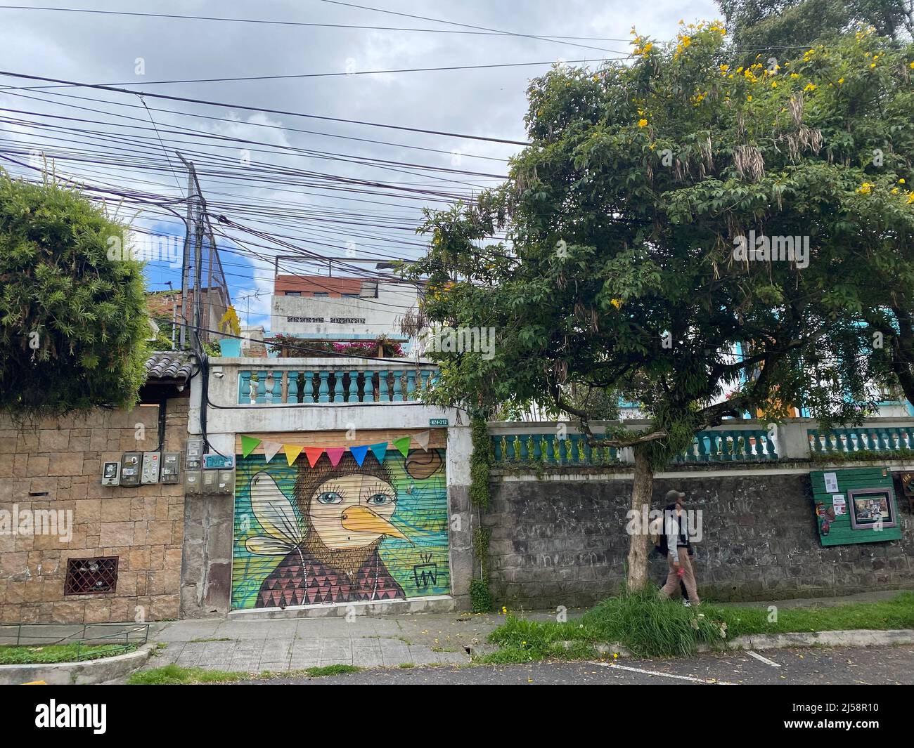 La Floresta area in Quito, which has developed a reputation for being ...
