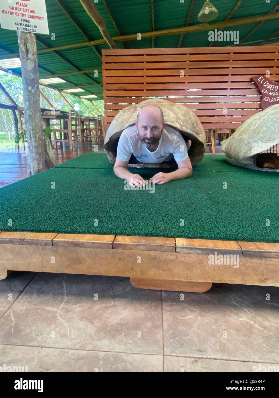 Tourist poses for photo, crawls out of a giant tortoise shell at El ...
