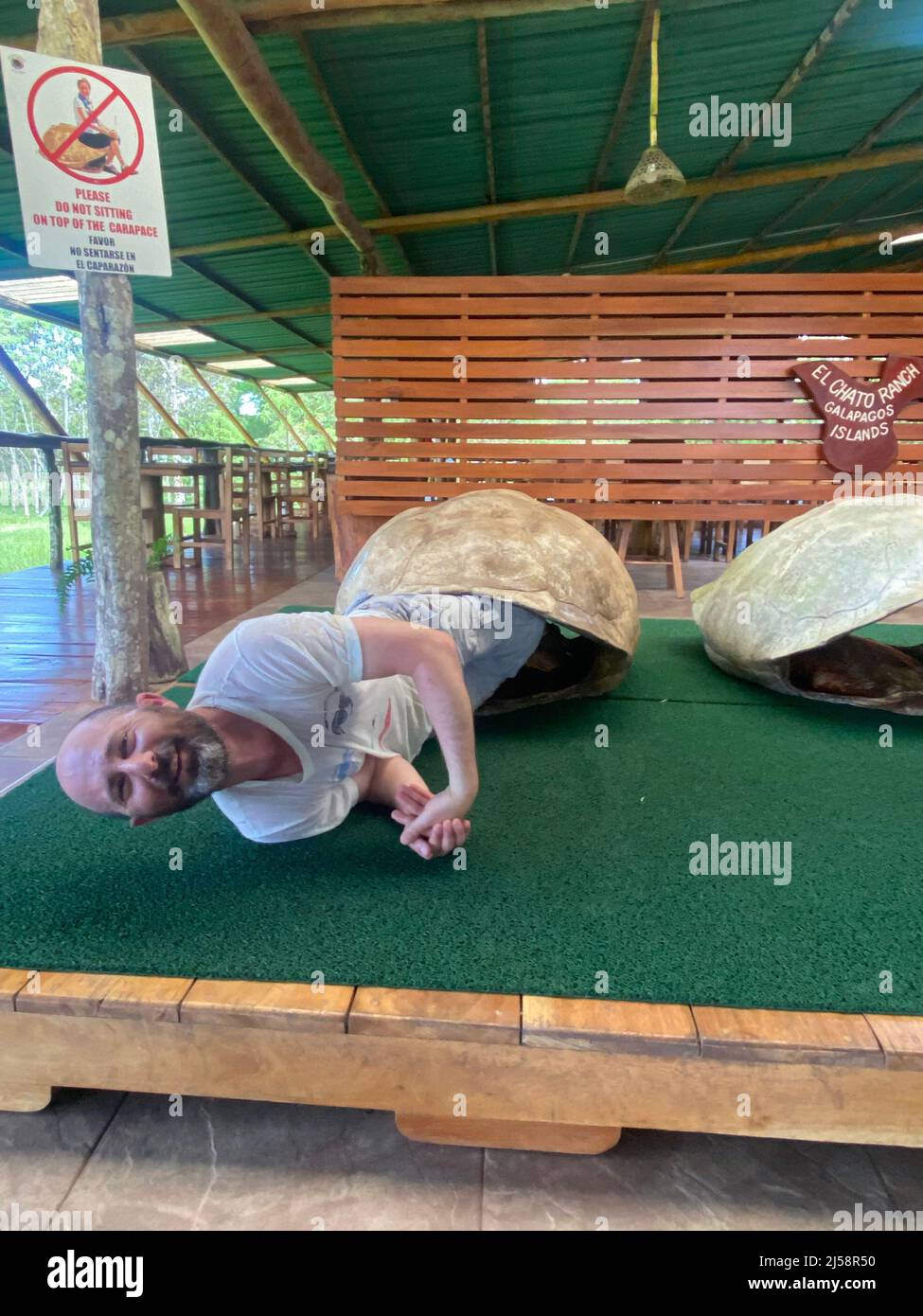 Tourist poses for photo, crawls out of a giant tortoise shell at El ...