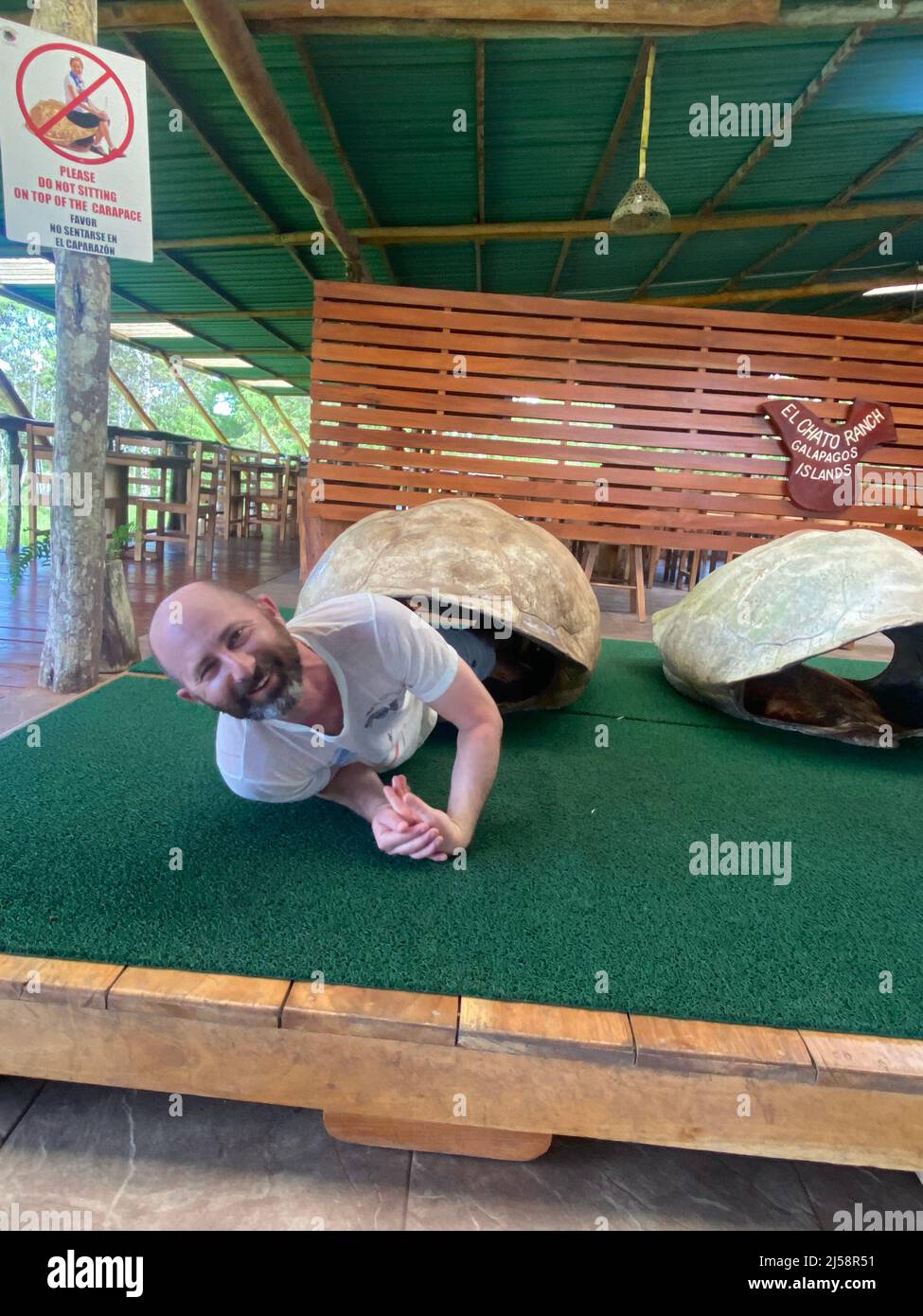 Tourist poses for photo, crawls out of a giant tortoise shell at El ...