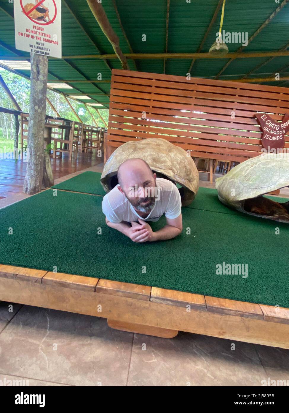 Tourist poses for photo, crawls out of a giant tortoise shell at El ...