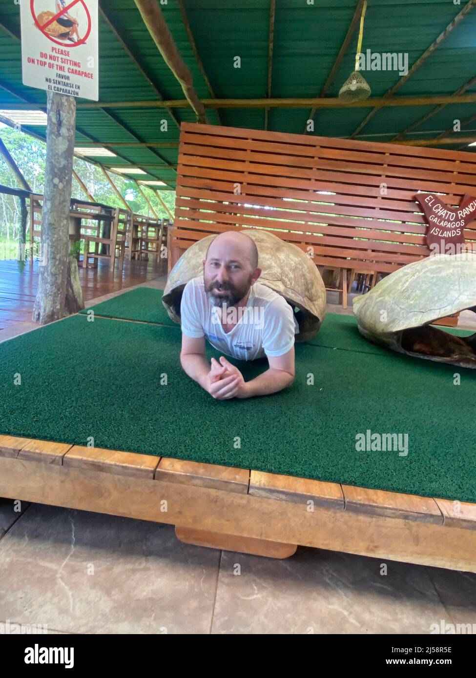 Tourist poses for photo, crawls out of a giant tortoise shell at El ...