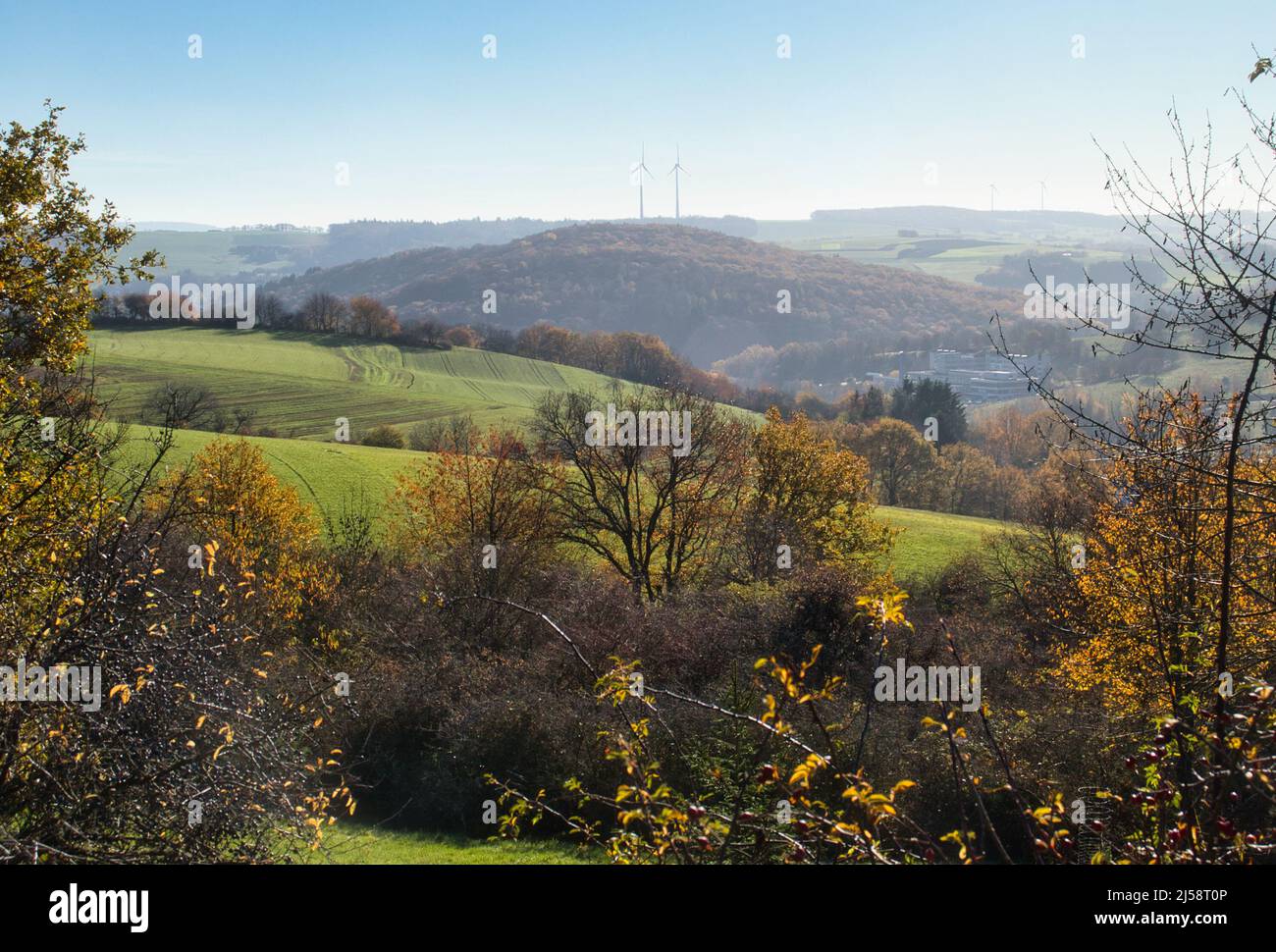 Rolling hills with trees and grass and wind turbines in the distance on ...