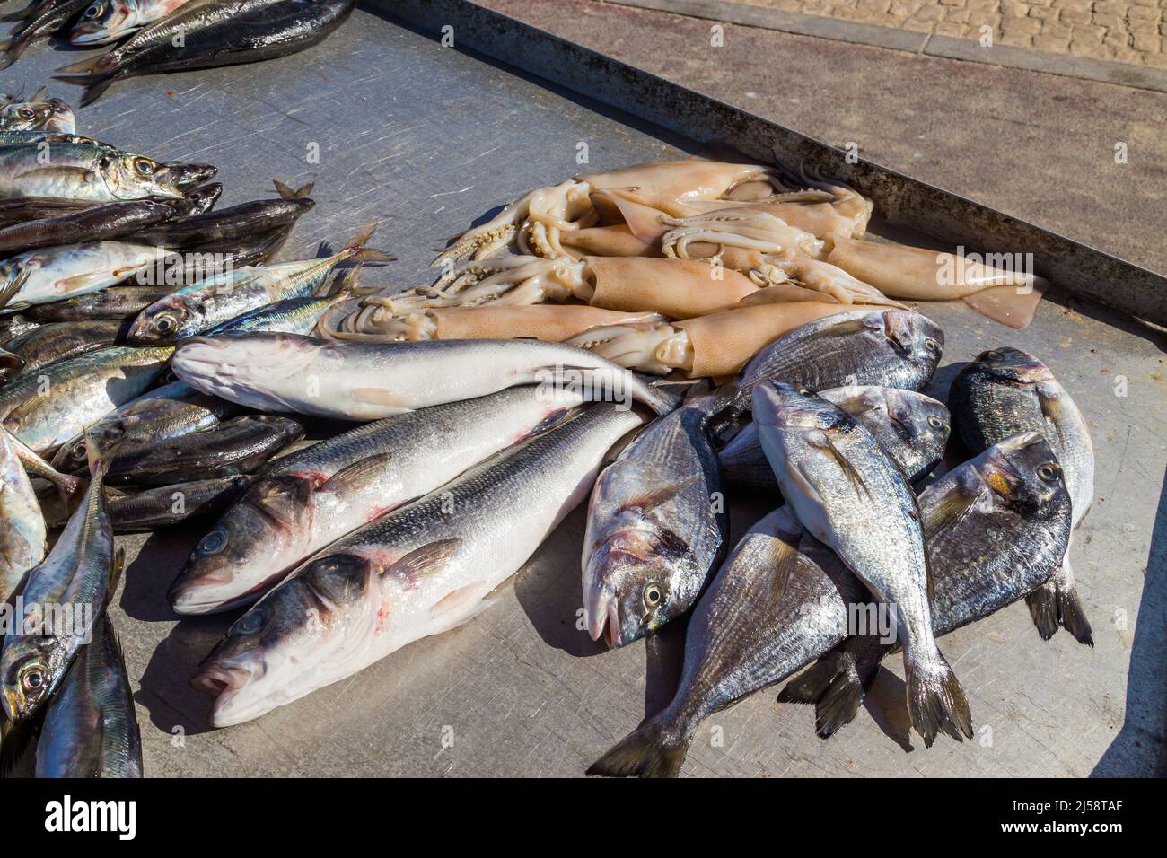 Fish market in Hodeida on Red Sea, Yemen Stock Photo - Alamy