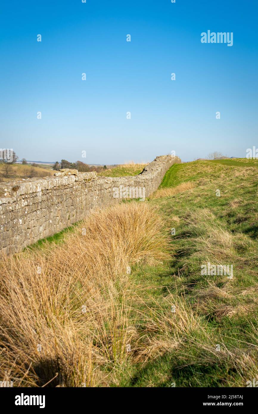 Hadrian's Wall, also known as the Roman Wall, is a former defensive ...