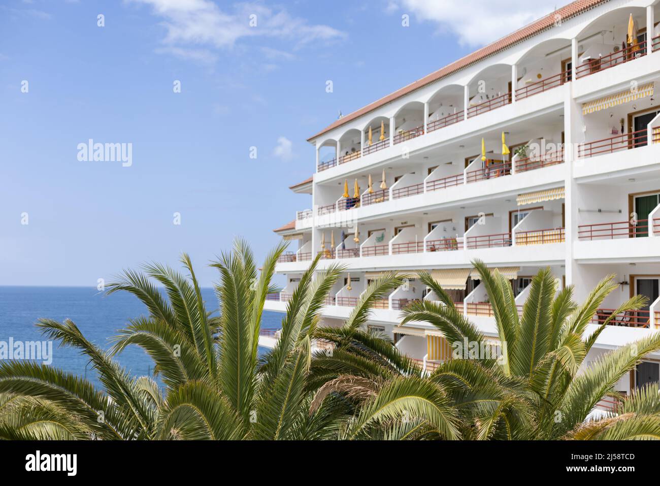 View to the apartments building near ocean with palm trees Stock Photo ...